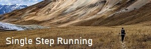 Single Step Running